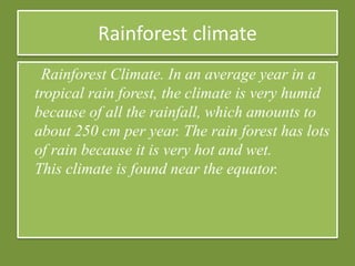 Rainforests | PPTX
