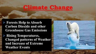 Deforestation | PPTX