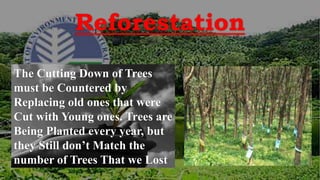 Deforestation | PPTX