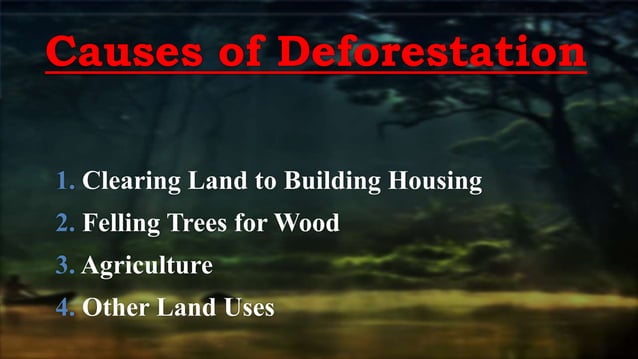 Deforestation | PPT
