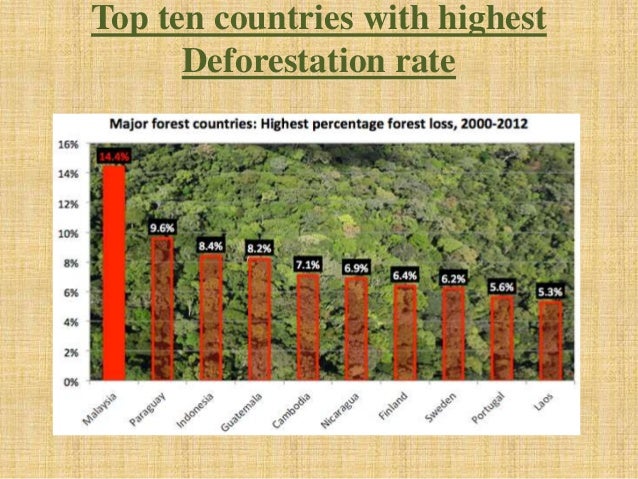Top 10 Countries With Highest Deforestation Rate In The World – EOYS