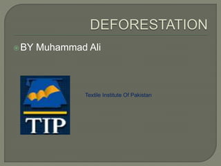 Deforestation.Ali | Environment | Science