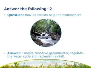 Deforestation- A quick summary and encouraging questions | PPT