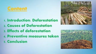 Deforestation | PPTX