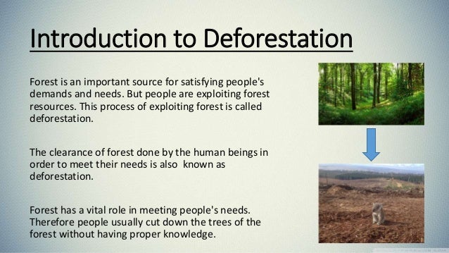 Deforestation