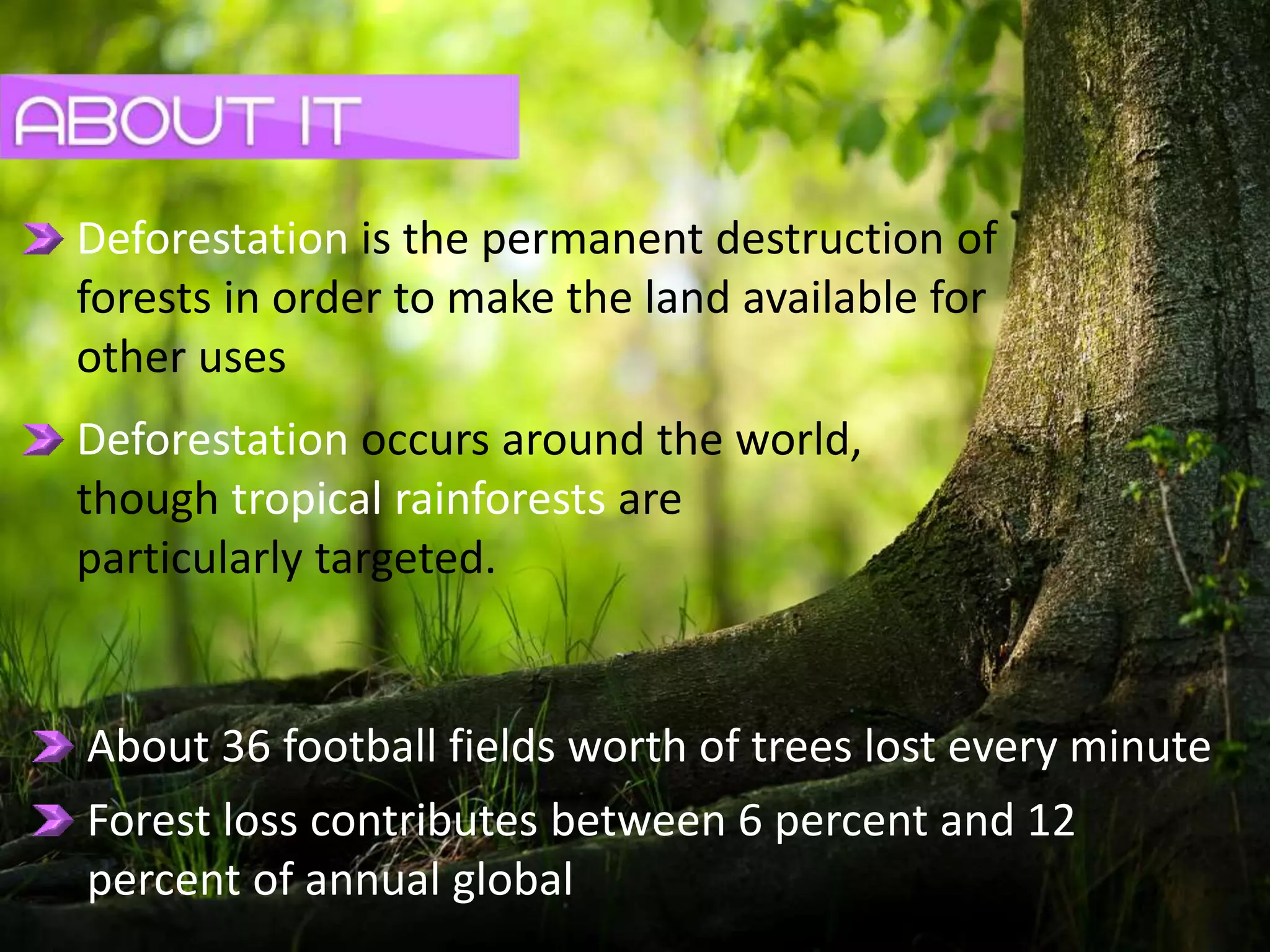 Deforestation | PPTX