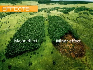 Deforestation | PPTX