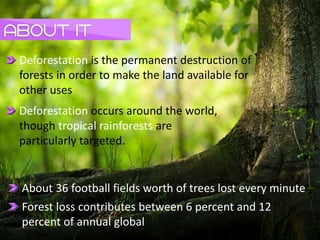 Deforestation | PPTX