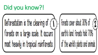 Deforestation * | PPTX