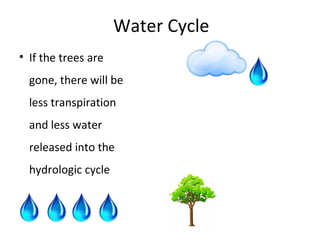 Deforestation | PPT