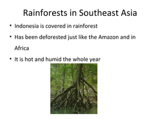 Deforestation | PPT