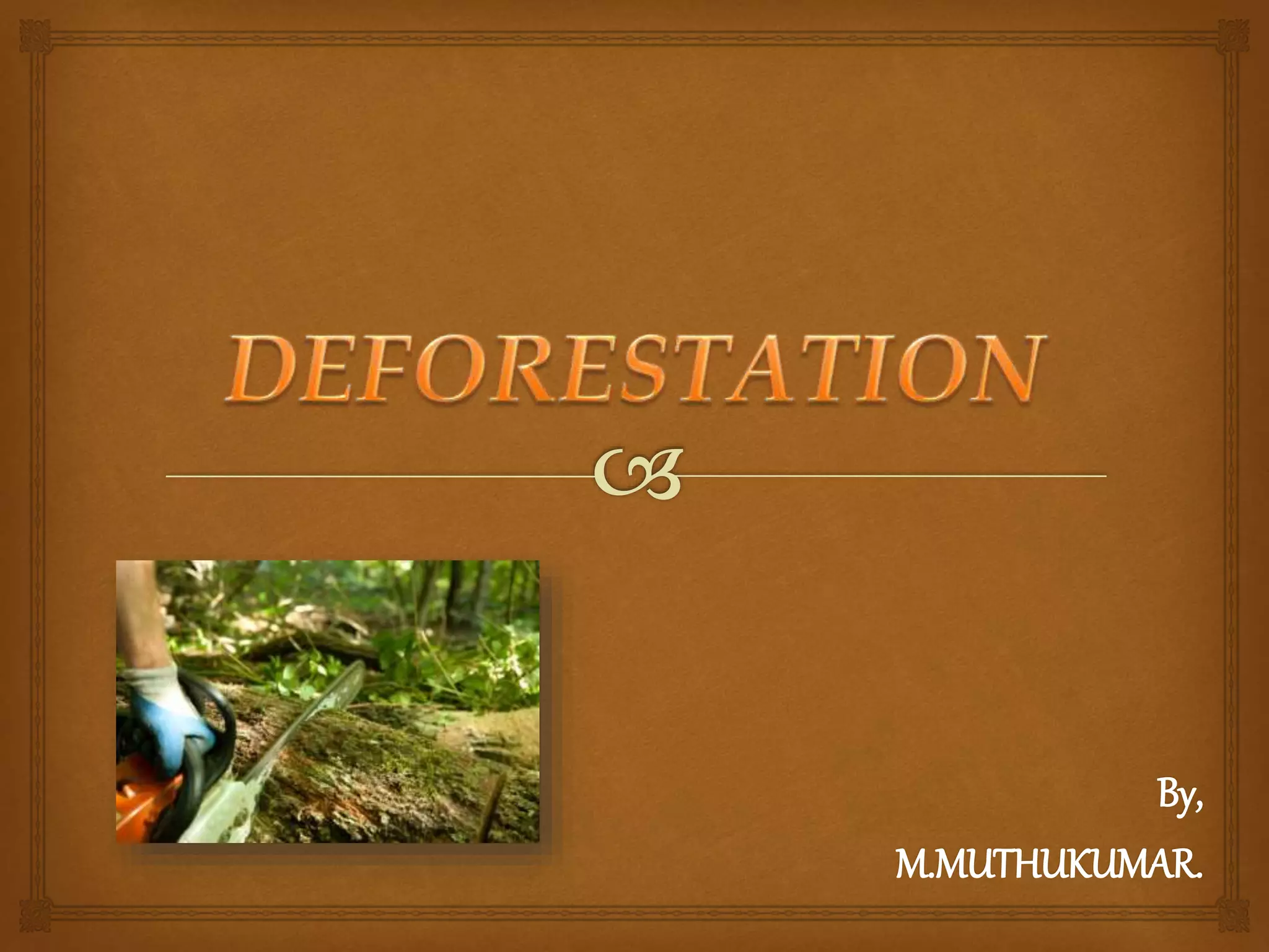 Deforestation | PPT