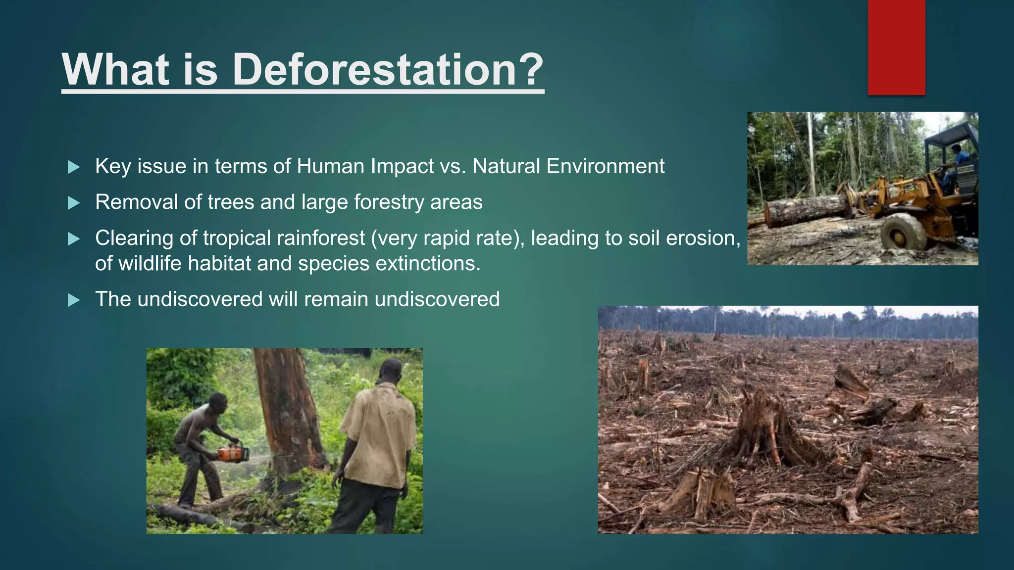 Deforestation | PPTX