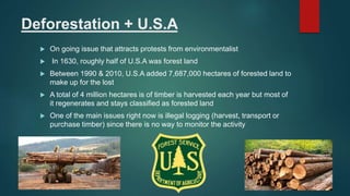 Deforestation | PPT