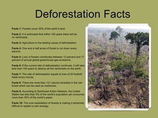 Deforestation and It's Effects | PPTX