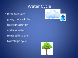 Deforestation | PPT