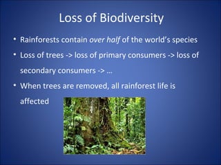 Deforestation | PPT