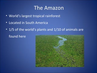 Deforestation | PPT