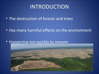 Deforestation | PPT