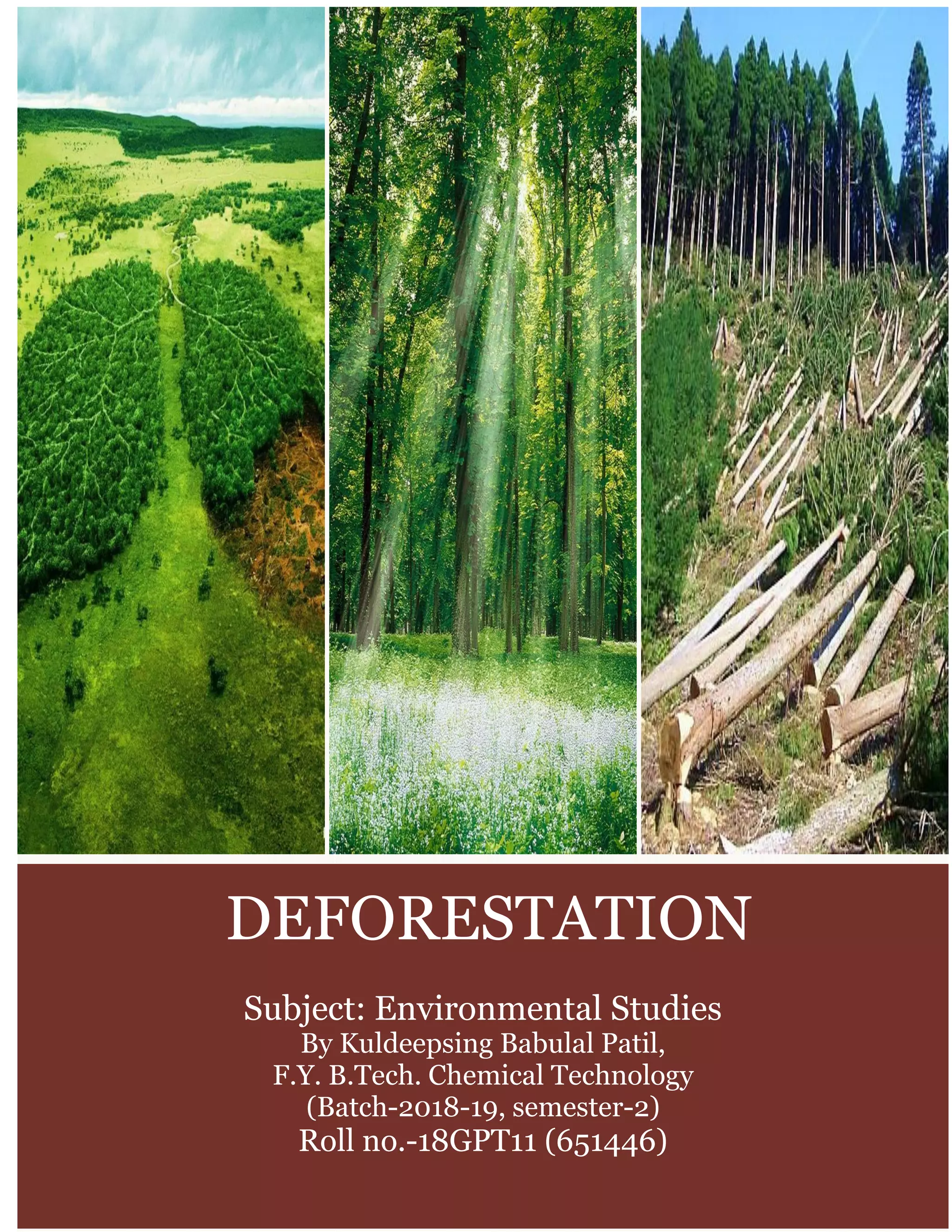 Deforestation | PDF