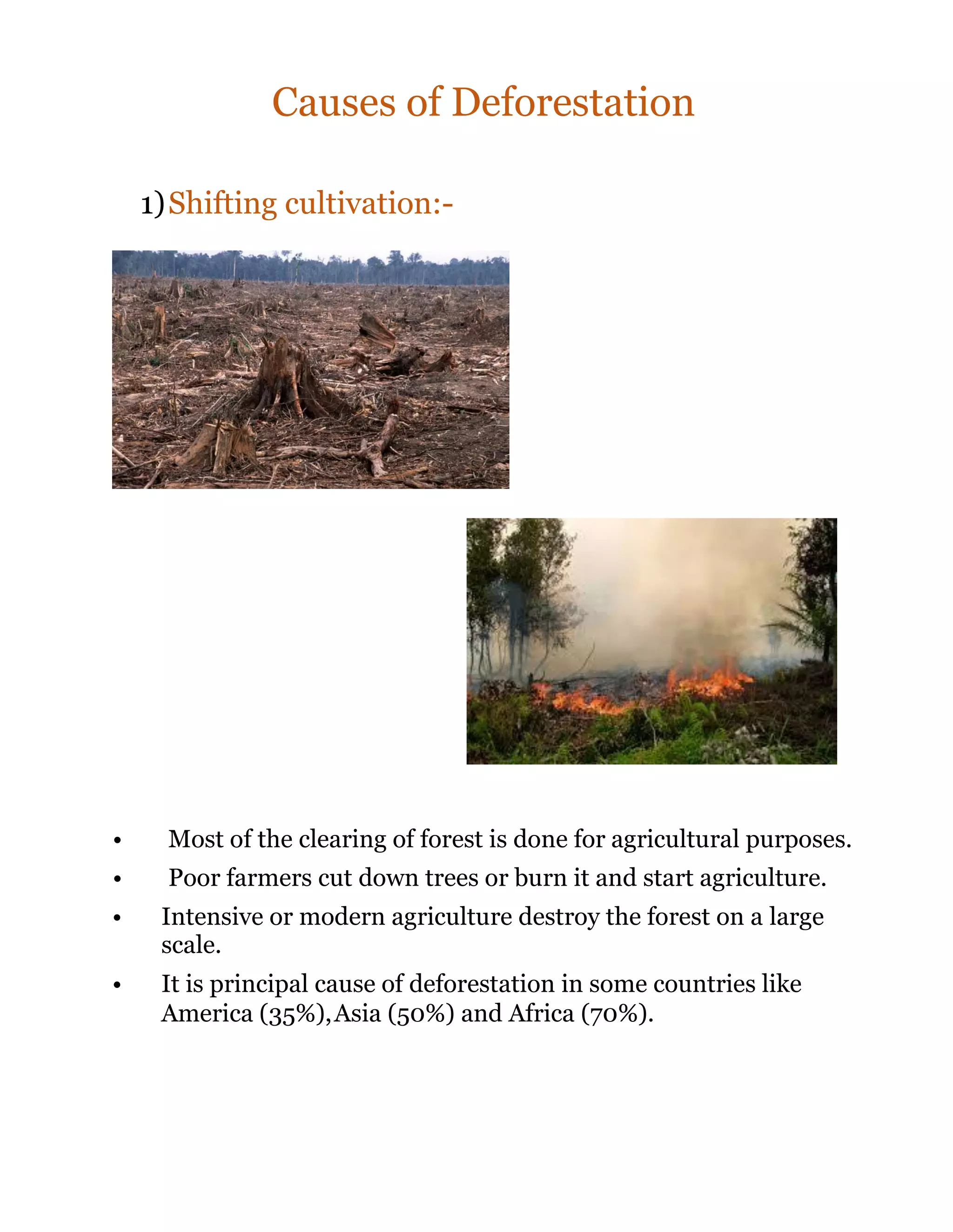 Deforestation | PDF