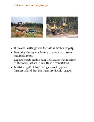 Deforestation | PDF