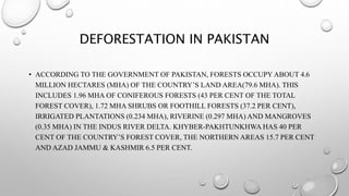 Deforestation | PPTX | Agriculture | Industries