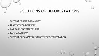 Deforestation | PPTX | Agriculture | Industries