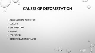 Deforestation | PPTX