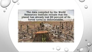Deforestation | PPTX