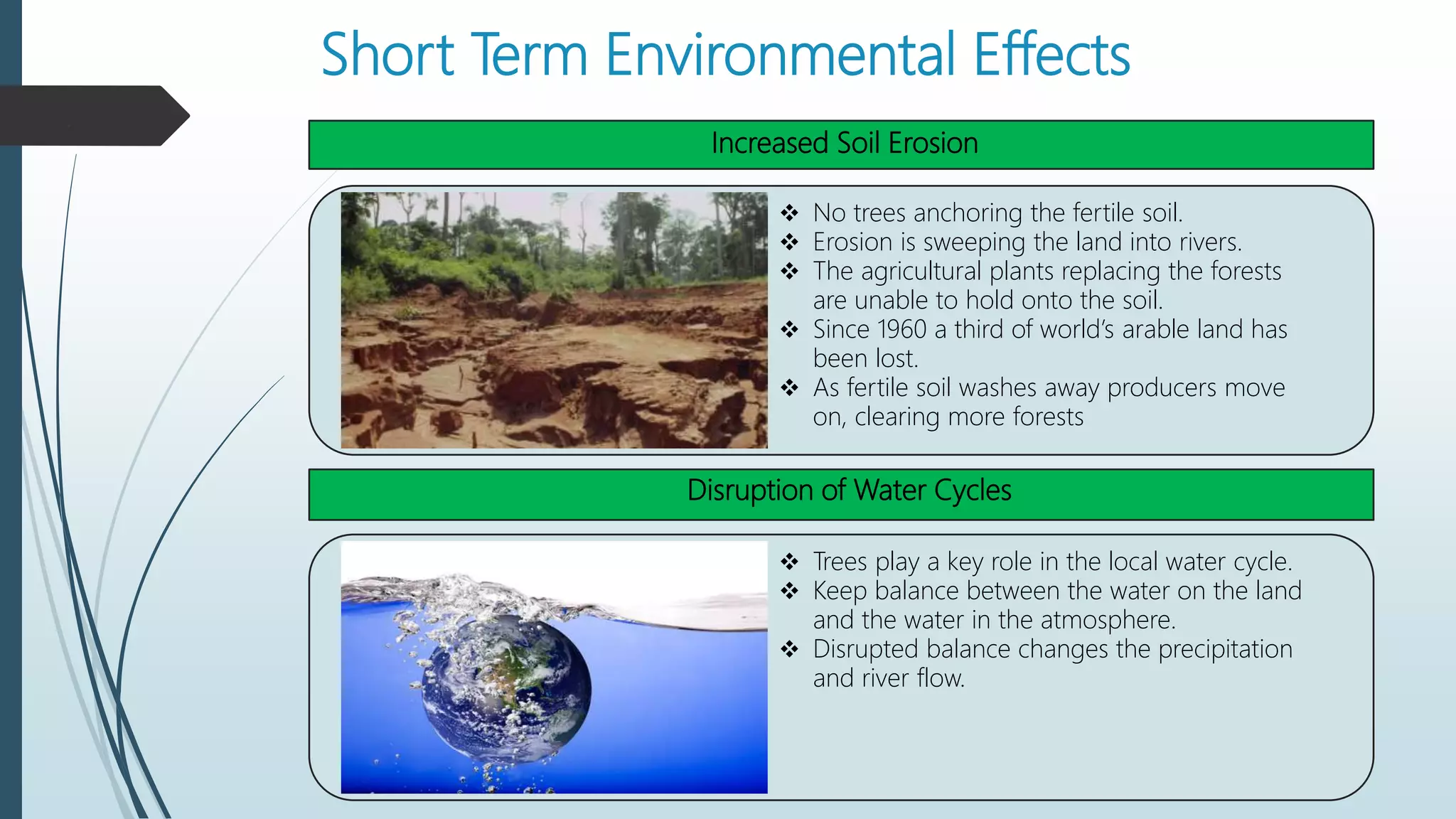 What is Deforestation | PPTX