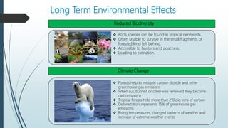 What is Deforestation | PPT
