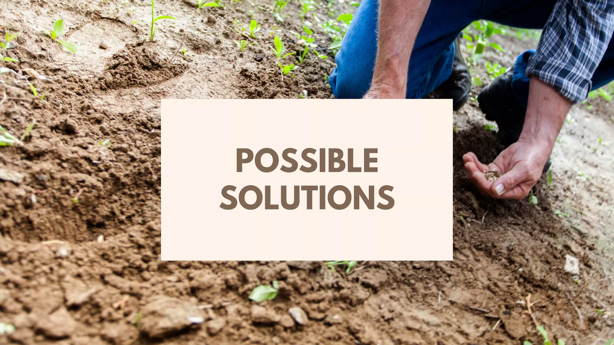 Deforestation - Causes, Effects and Solution | PDF