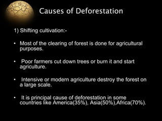 Deforestation | PPTX