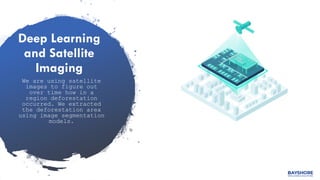 Tracking Deforestation - BAYSHORE INTELLIGENCE SOLUTIONS | PDF