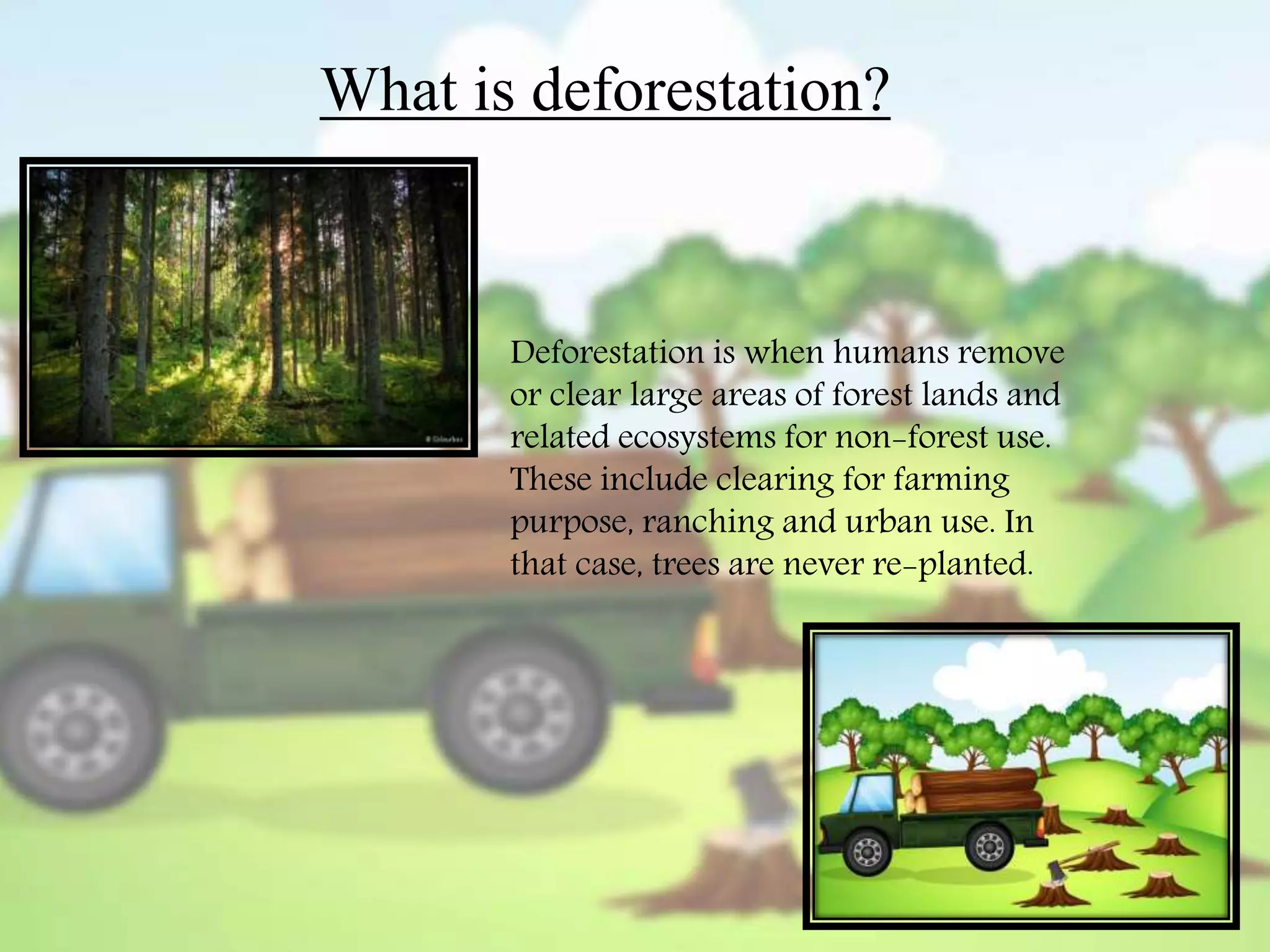 Deforestation | PPTX