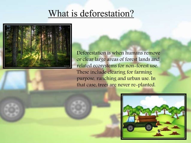 Deforestation | PPT