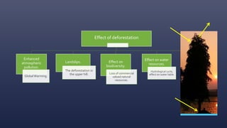 Deforestation | PPSX