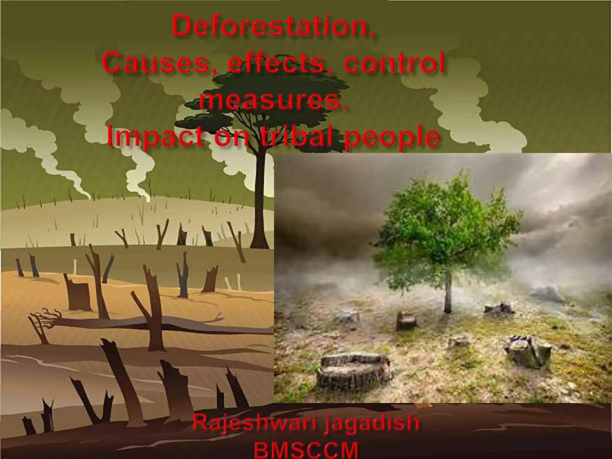 , Deforestation, Causes, effects, control measures. Impact on tribal ...