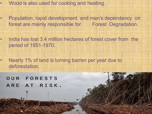 , Deforestation, Causes, effects, control measures. Impact on tribal ...