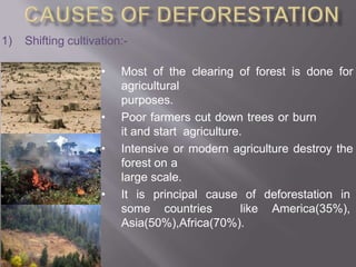 , Deforestation, Causes, effects, control measures. Impact on tribal ...