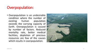 Deforestation | PPTX | Agriculture | Industries