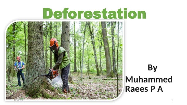 deforestation-210630015504 (1).pdf
