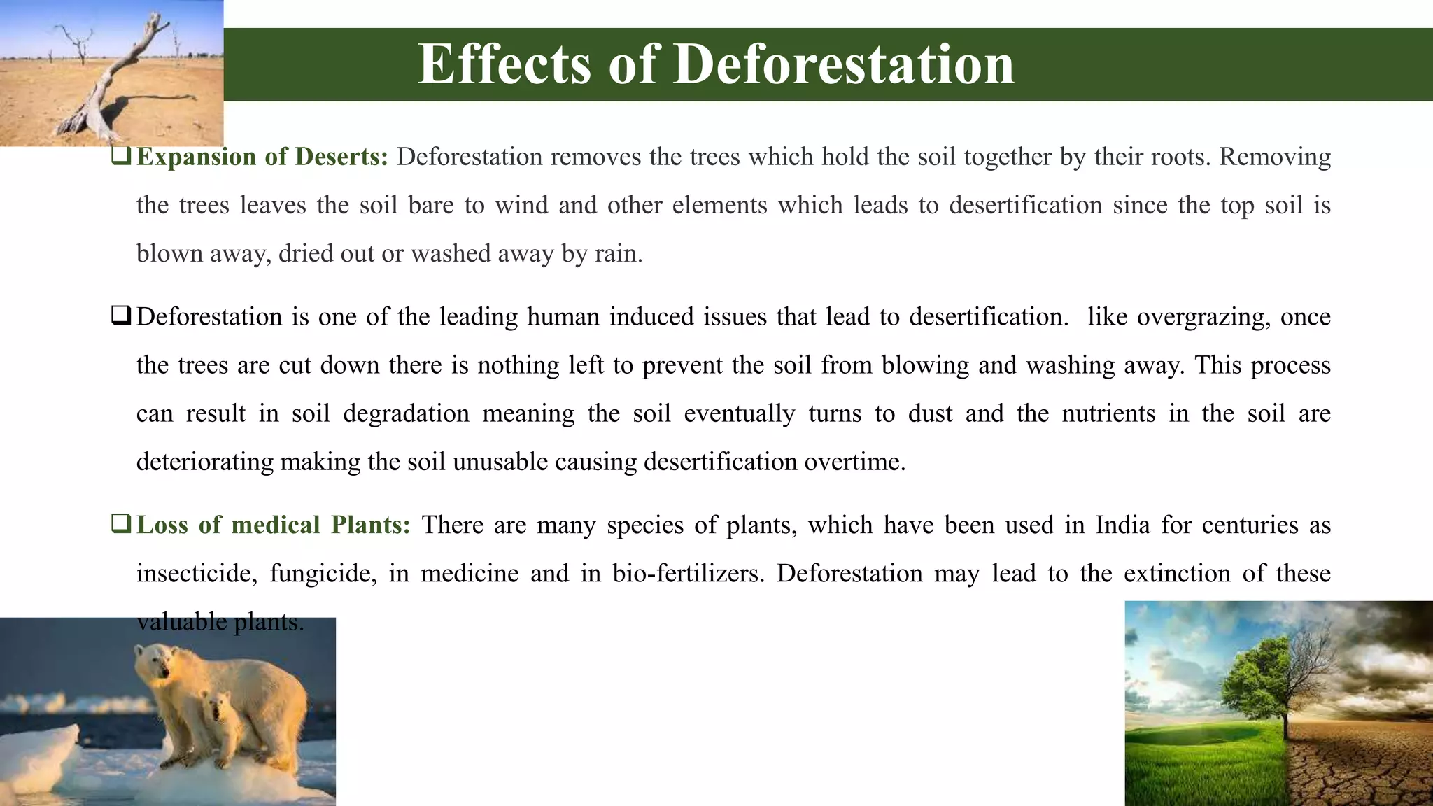 Deforestation | PPTX