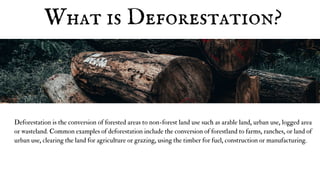 Deforestation | PDF | Agriculture | Industries