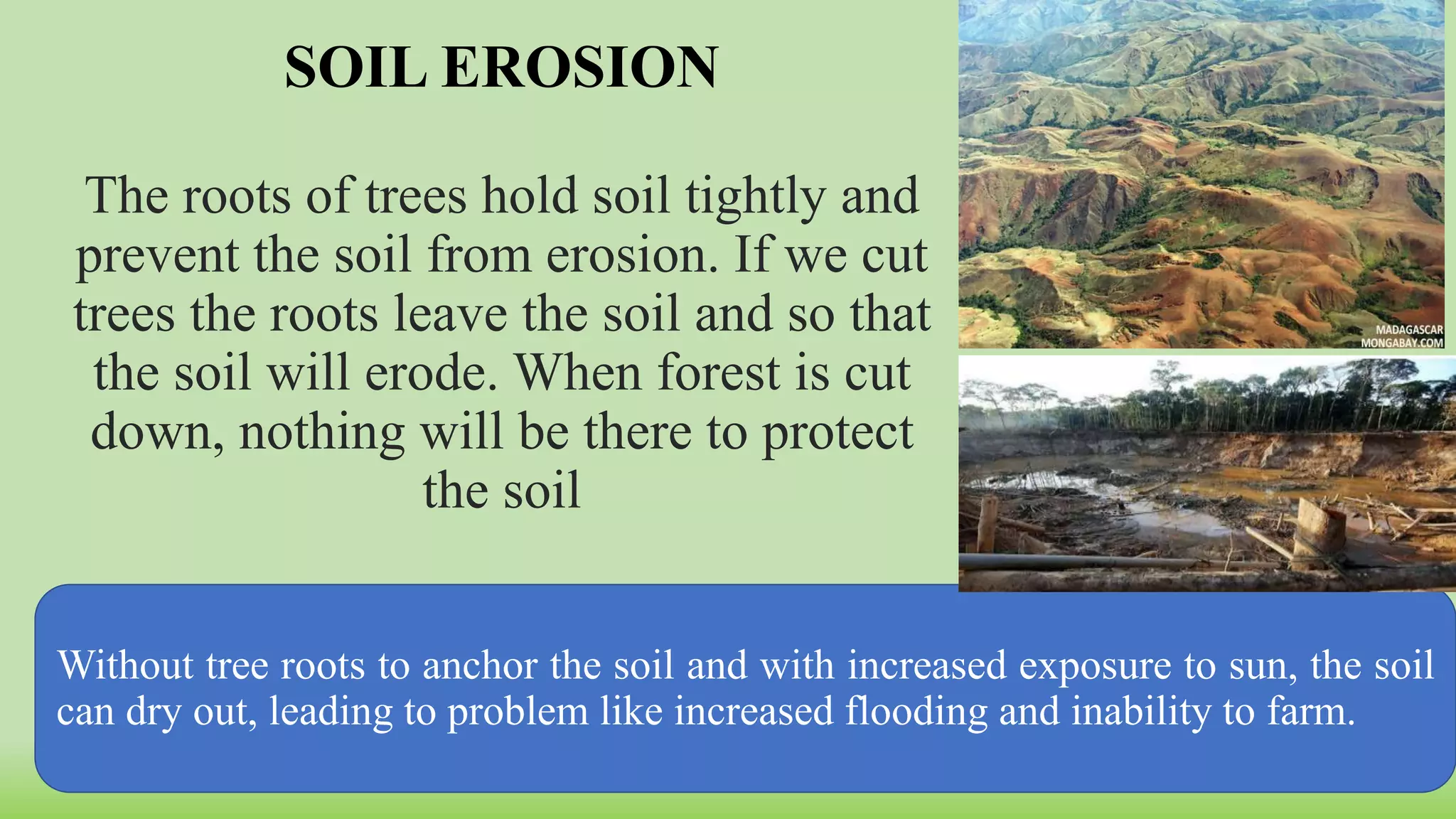 Deforestation | PPTX