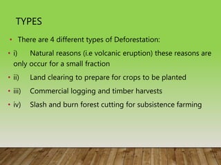 deforestation.pptx