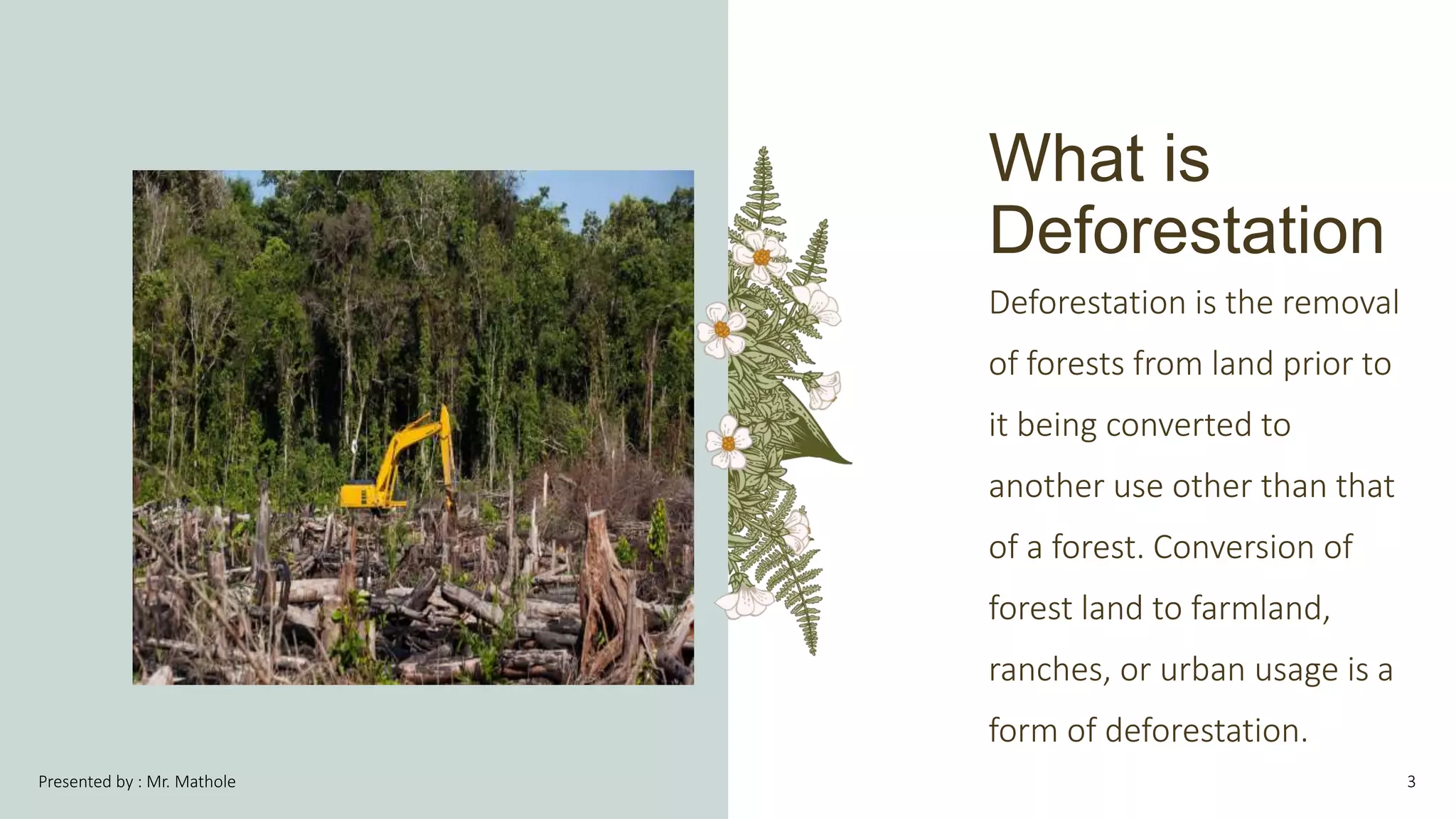 DEFORESTATION.pptx