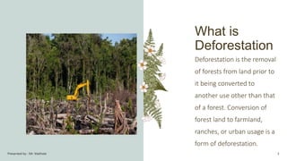 DEFORESTATION.pptx