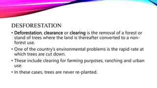 Deforestation.pptx